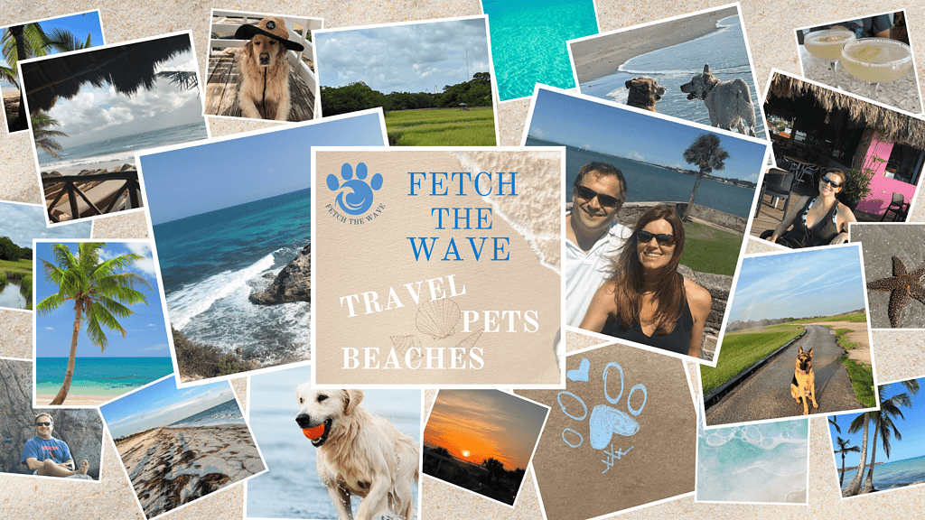 Charleston | Fetch The Wave
