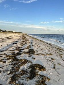 The Forgotten Coast of Florida the Ultimate Travel Guide 2023 ...