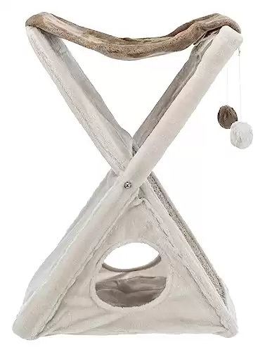 How To Be A Digital Nomad With A Cat, Tips From a Nomadic Veterinarian ...