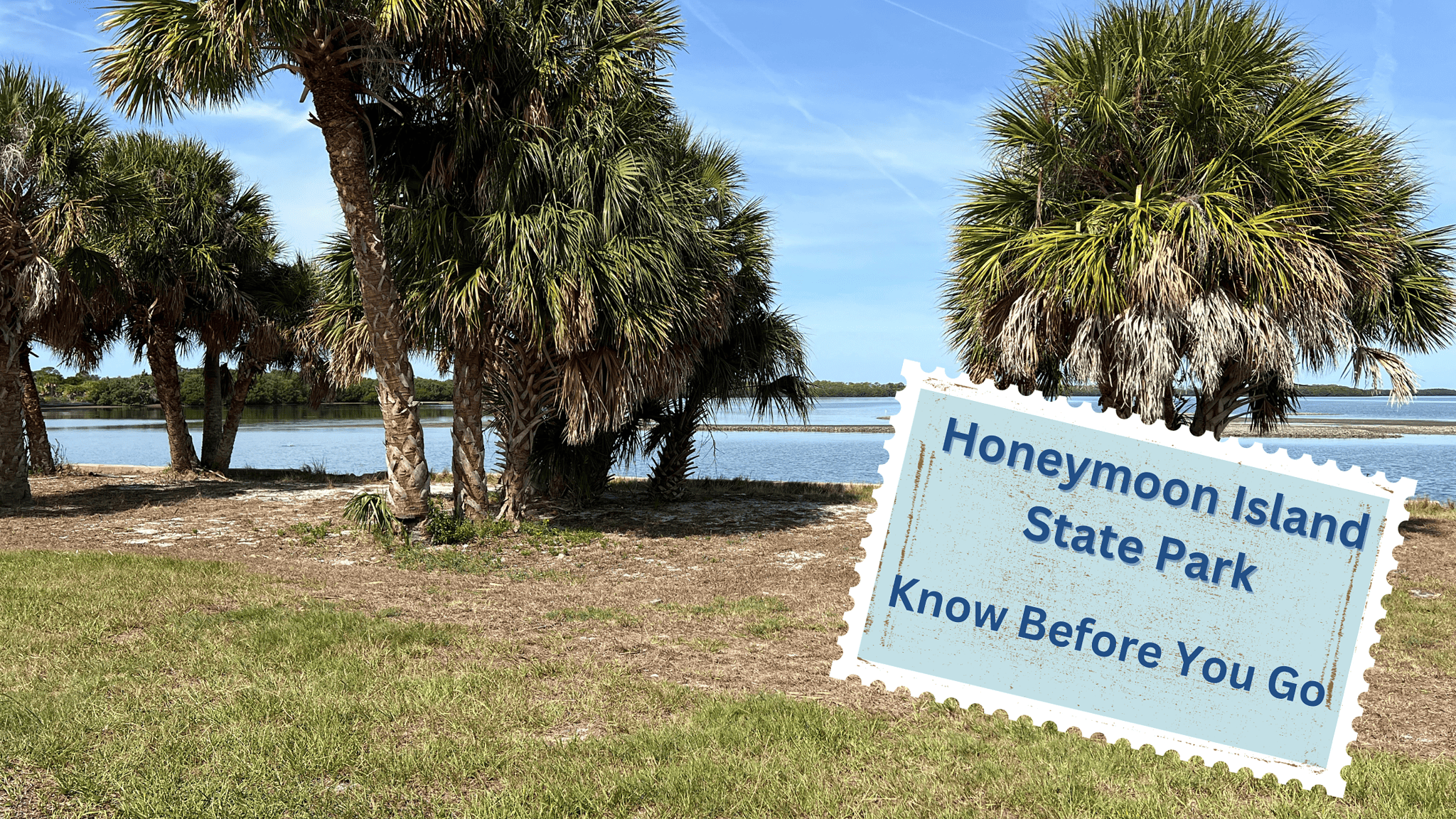 Honeymoon Island Florida: A Guide To The State Park's Beaches And ...